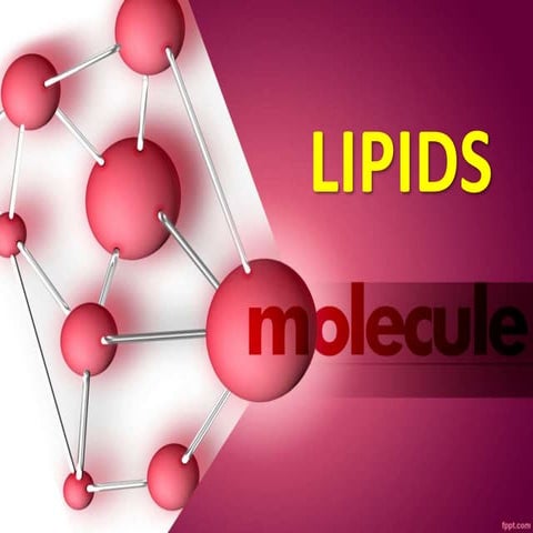 Lipid Classification and Structure function | PDF
