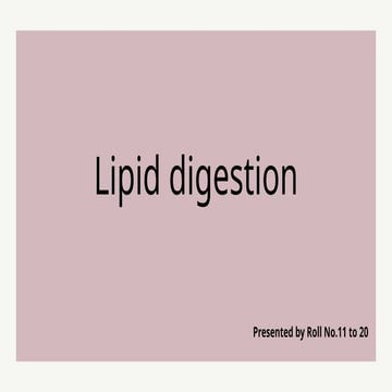 Digestion of fat | PPT