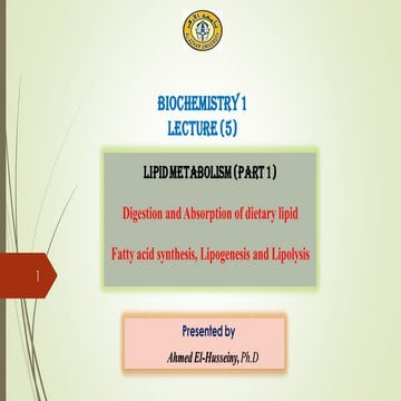 LIPID METABOLISM MCQ QUESTIONS/ ANSWERS pdf | PDF