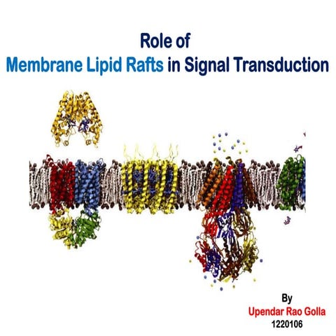 Lipid rafts in signal transduction | PPTX