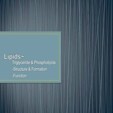 Lipids~ | PPTX