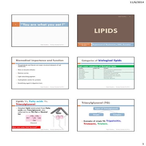 Lipids | PDF | Chemistry | Science
