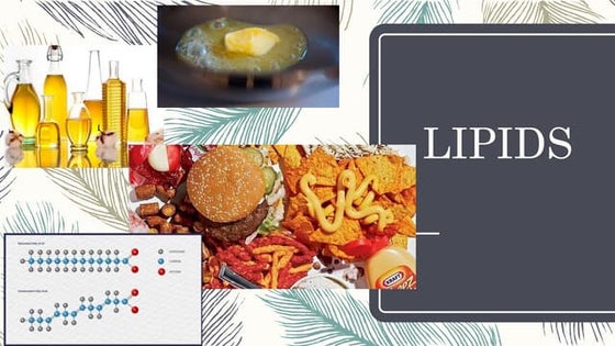 Classification of lipids according to chemical structure | PPT