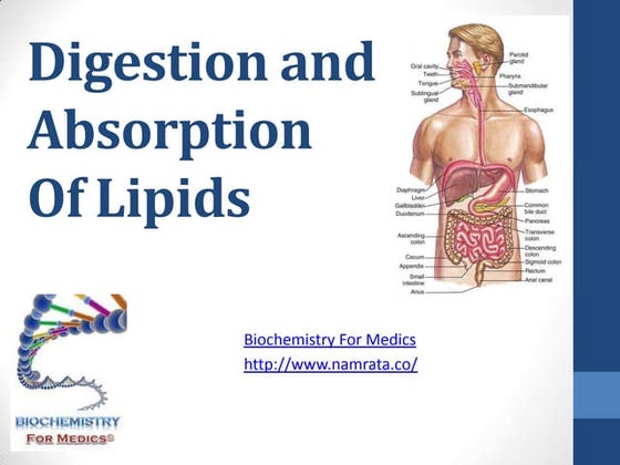 Lipids Dig. Abs..pptx