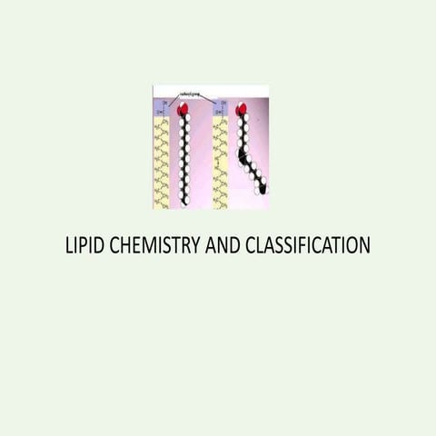lipids-propertiesclassificationfunction.pptx
