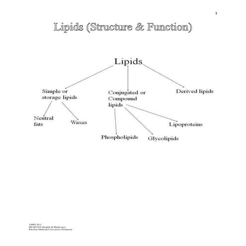 Lipid Structure Diagram 5,032 Lipid Structure Images, Stock Photos,