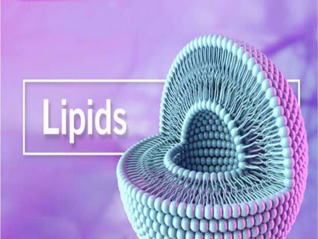 Lipids: Structure and Functions | PPTX