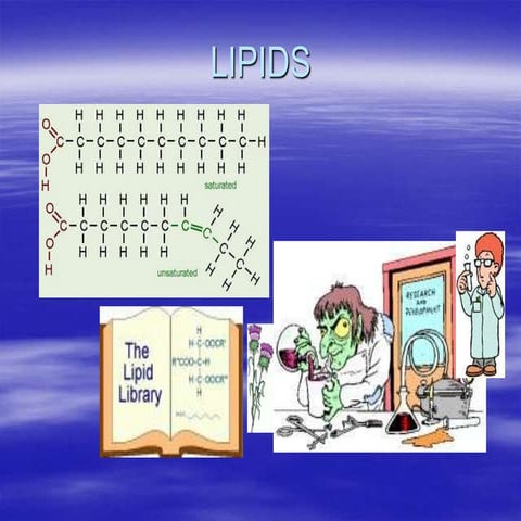 Lipids1 | PPT