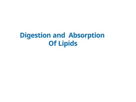 Digestion and absorption of lipids ppt | PPTX | Chemistry | Science