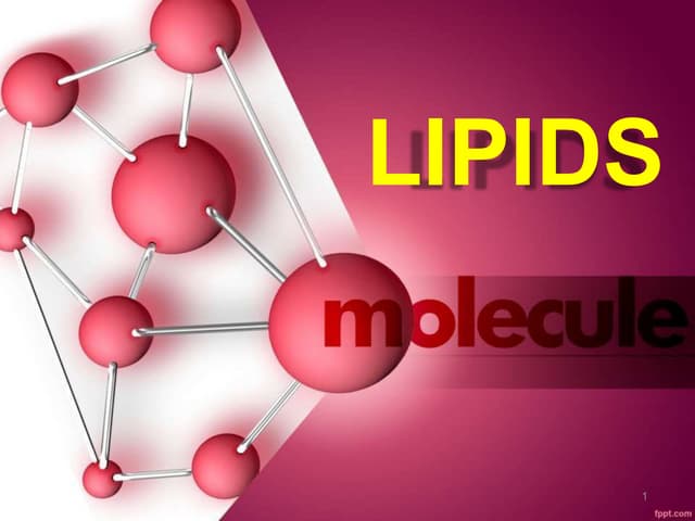 Lipids | PDF