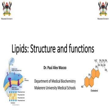 lipids | PPT