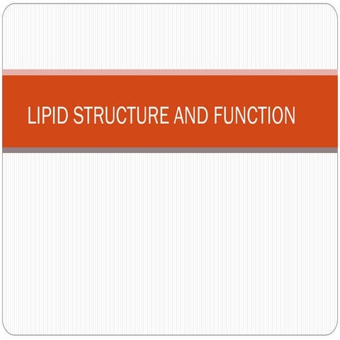 Lipid Structure and Function Biochemistry | PDF