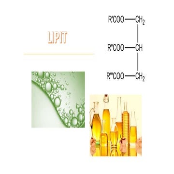 Lipit trinh chieu | PPTX