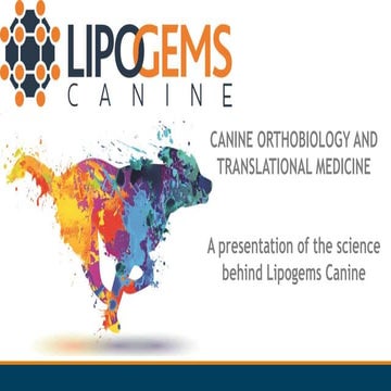 Lipocast Biotech UK Lipogems Canine Veterinary Presentation 2017 v.1.3 ...