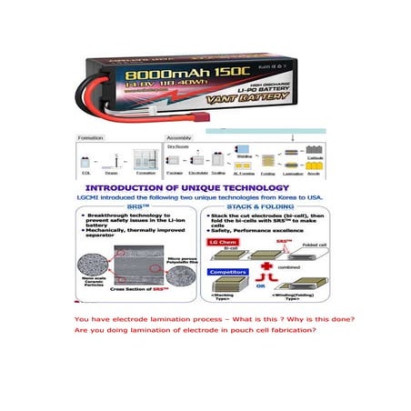 LiPo pouch cells 13 01 2022.docx
