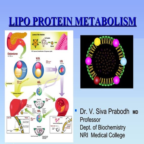 Lipo protein metabolism | PPT