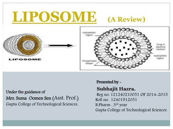 Liposomes:The Most Promising Drug Delivery Systems | PPT