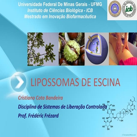 Lipossomas De Escina | PPT