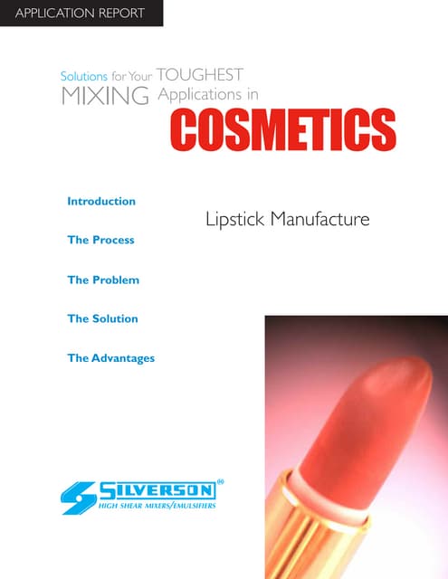 Lipstick preparation | PDF