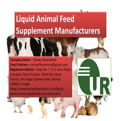 Liquid Animal Feed Supplement Manufacturers | PPTX