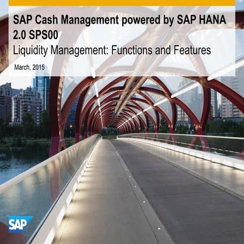 Liquidity management | PDF