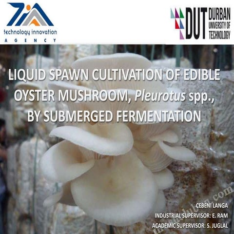 Liquid spawn cultivation of pleurotus spp. by submerged fermentation | PPT