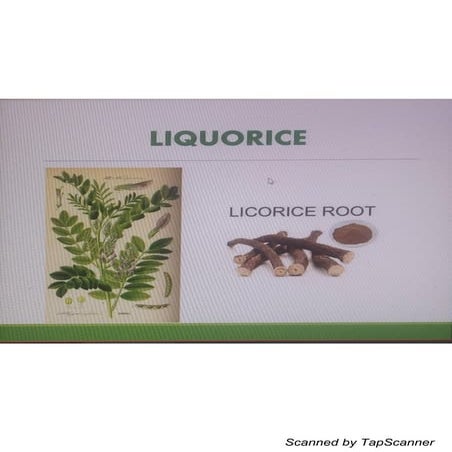 Liquorice | PDF