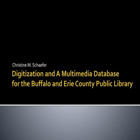 Technology Proposal: Digitization and a Multimedia Database | PPTX | Technology & Computing