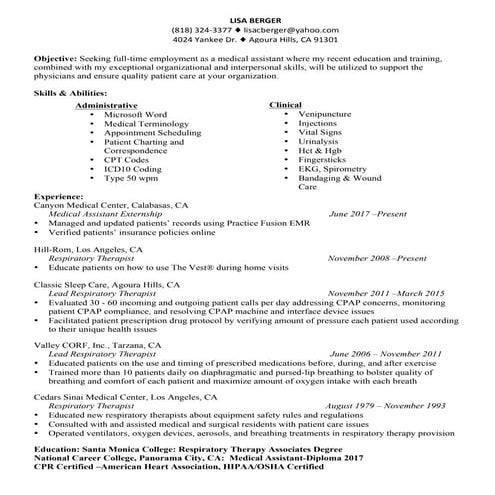 Lisa berger resume | PDF