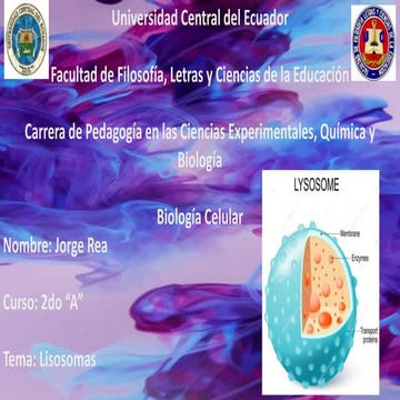Lisosomas por Jorge Rea | PPTX