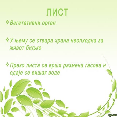 List - biljni organi, dijelovi biljke.pptx