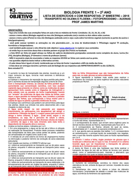 Gabarito tarefas net - 7º ano - apostila 01 | PDF