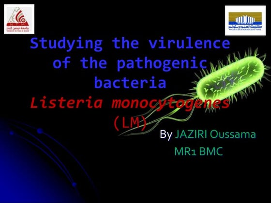 Message map: Listeria monocytogenes | PPT