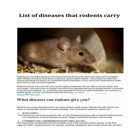 Rodents & disease.pptx