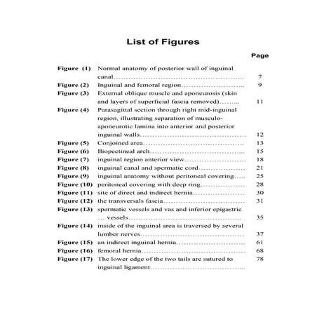 List of figures of the work | DOC