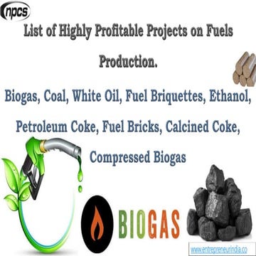 List of Highly Profitable Projects on Fuels Production. Biogas, Coal ...