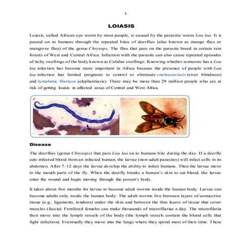 Loiasis Disease | DOCX