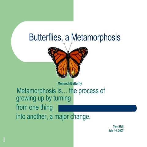 Lit Tech Ha4 Butterflyppy | PPT