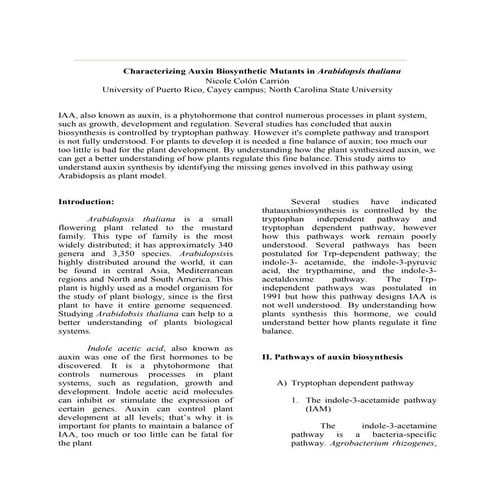 Literature review - Characterizing auxin biosynthetic mutants in ...