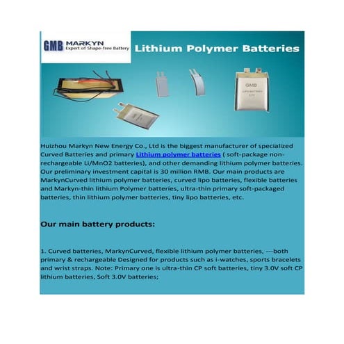 Lithium polymer batteries | PDF