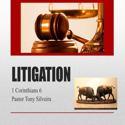 Litigation | PPT