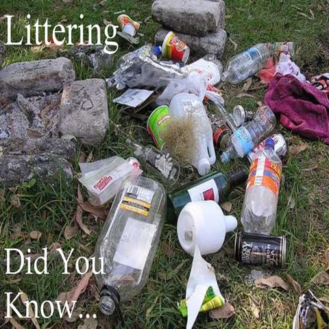 Litter | PPT
