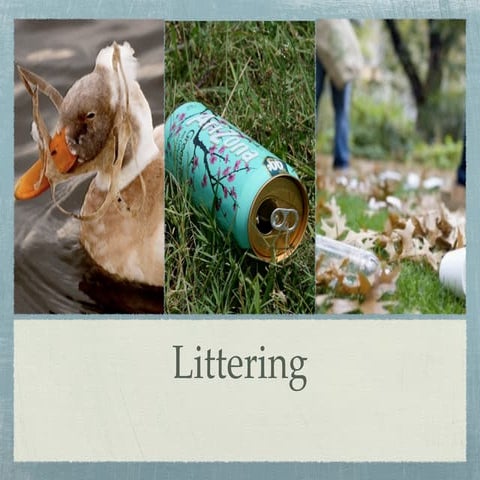 Littering Keynote | PPT