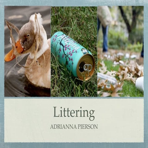 Littering keynote | KEY