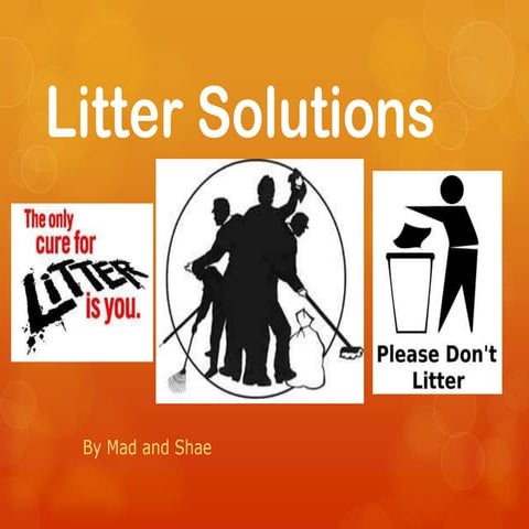 Litter Solutions | PPTX