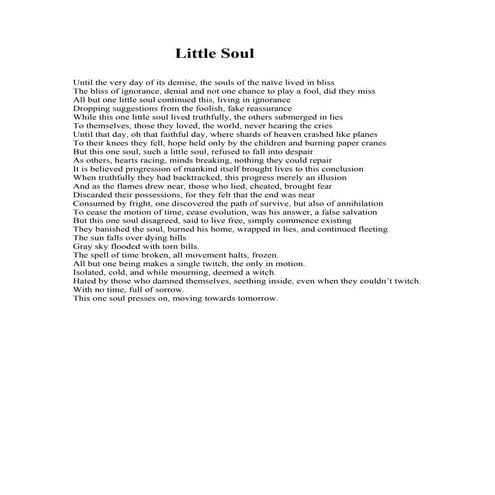 Little Soul | DOC