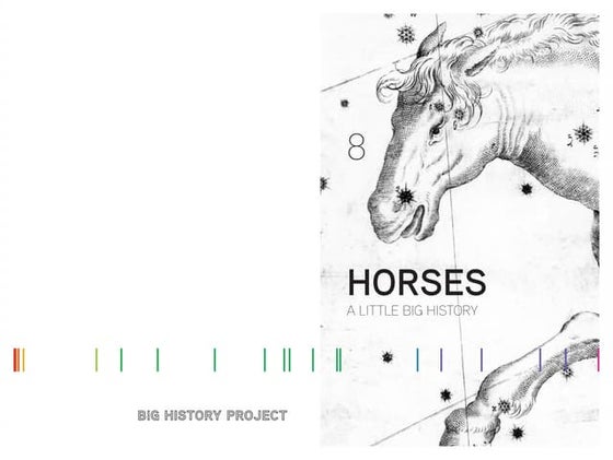 Evolution of horse in paleontology | PPTX