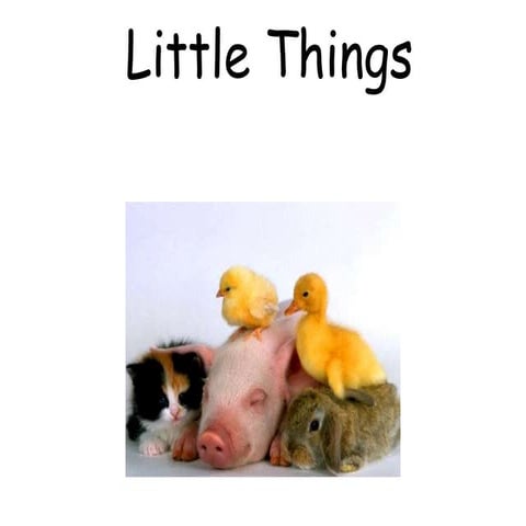 Little things | PPTX