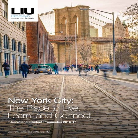Long Island University brooklyn brochure | PDF