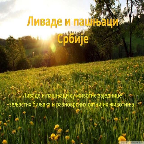 Livade i pasnjaci (1) | PPT